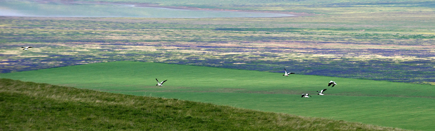 Leninsky District | Crimea travel portal